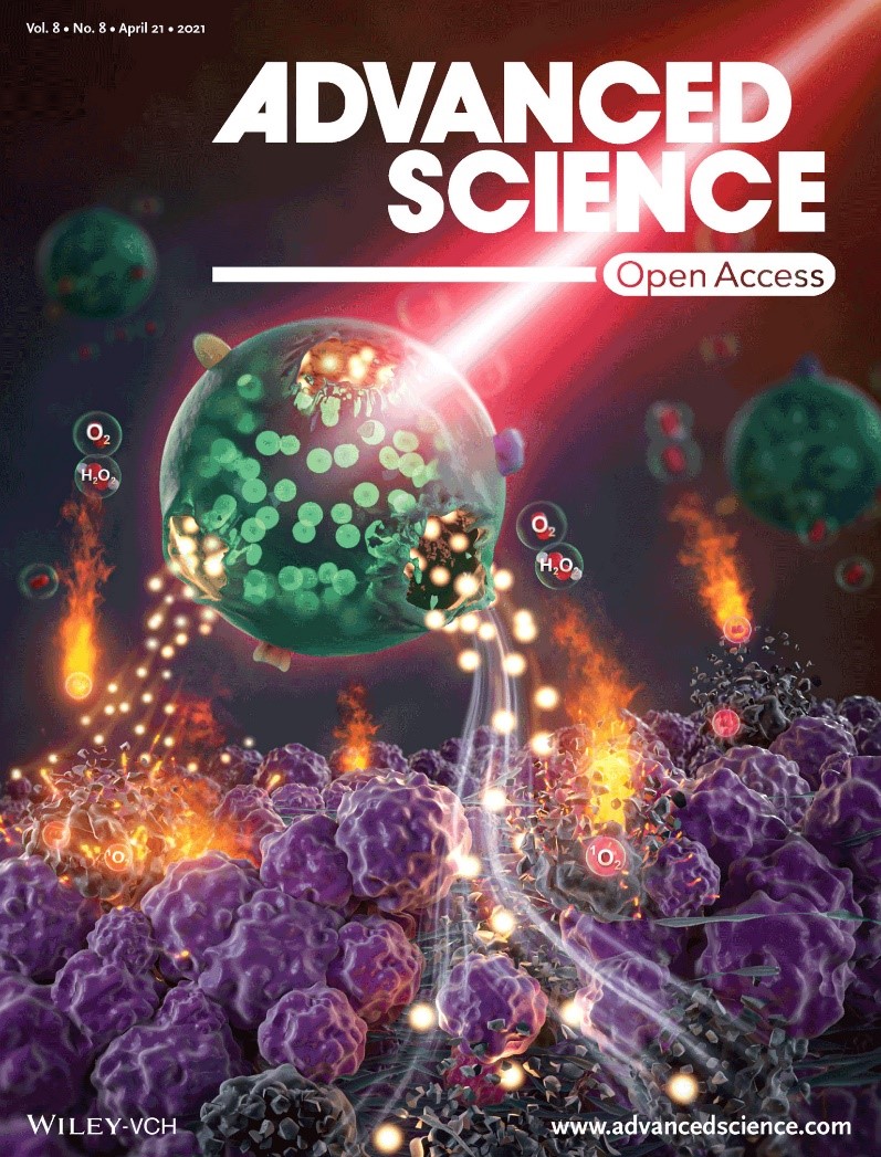 方超团队在Advanced Science发表封面论文报道新型仿生纳米铂脂质体用于... - 生物通